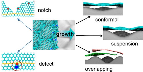 [ACS nano] Growth Instability of 2D Materials on Non-Euclidean Surfaces